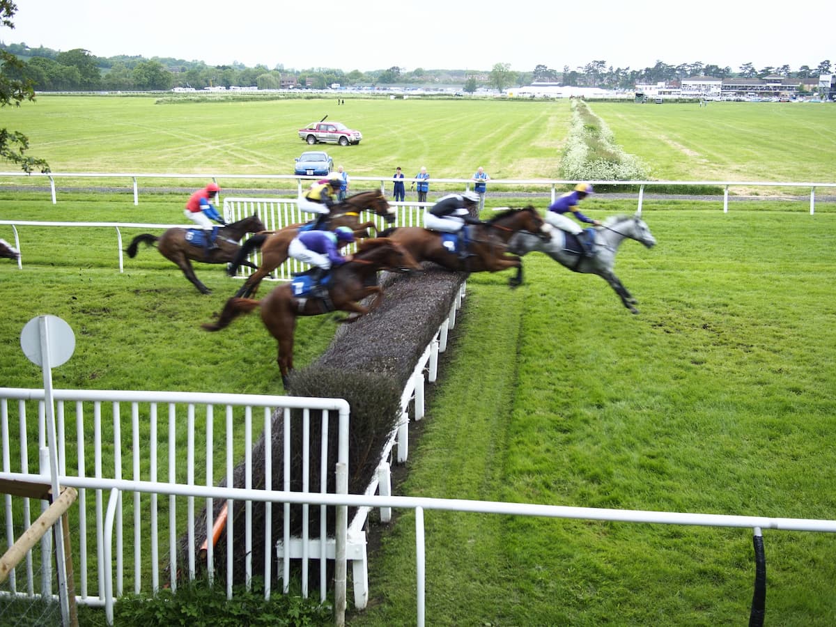 Jump Racing: Finding Hidden Gems for the 2024/2025 Season