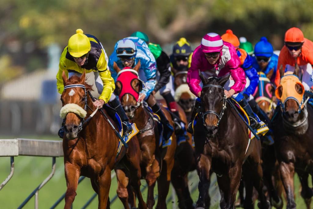 Five Factors That Make Horse Racing the Sport of Kings