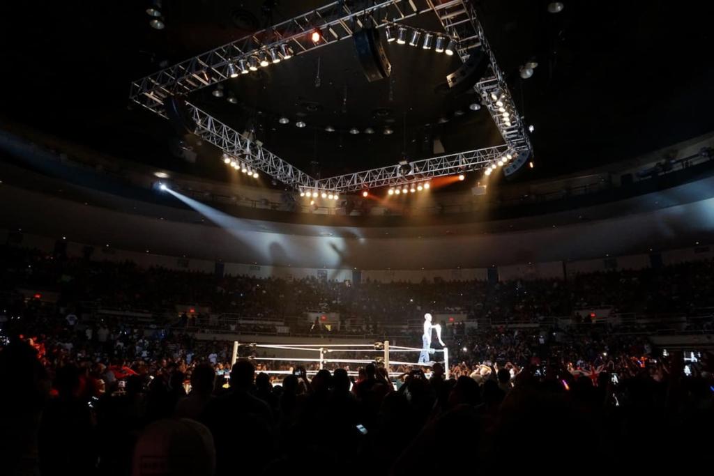 Razor Ramon: A Wrestling Icon's Journey Through the WWE