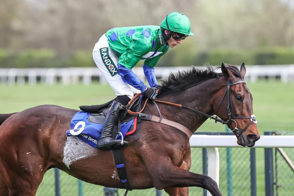 Four British Trainers to Follow in the 2024-25 Jumps Racing Season