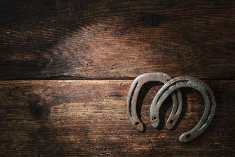 Leonna Mayor: The Glamorous Jockey Who Took the Racing World by Storm ...