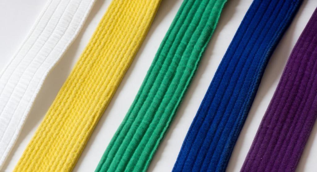 Belts in TKD: Guide to Taekwondo Belt Colours & Levels